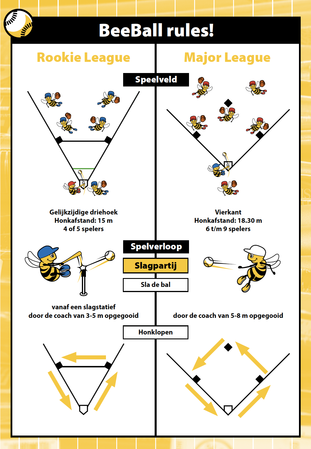 Wat is Beeball? | Grizzlies Zoetermeer